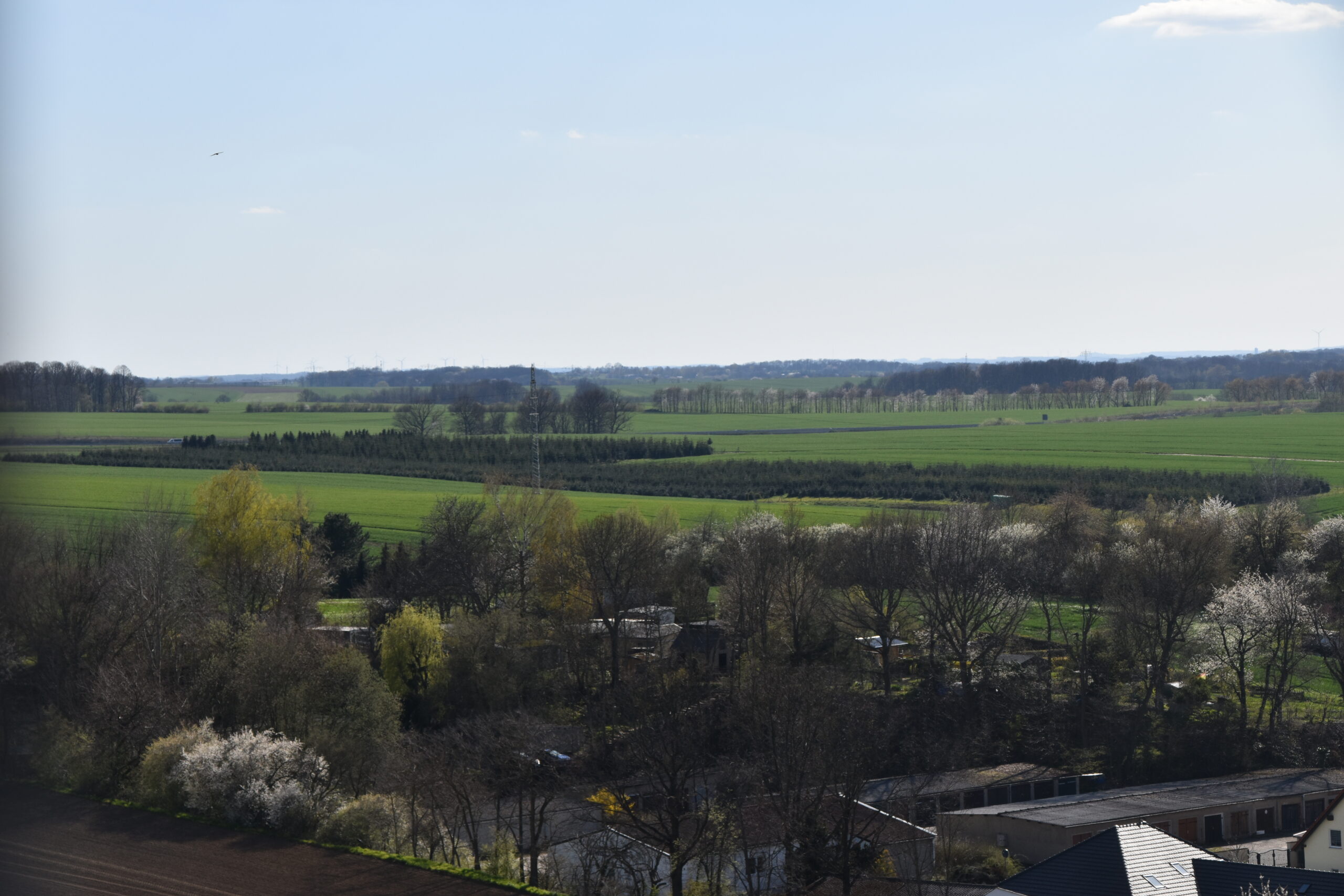 DSC_2049 – Ev.- Luth. Kirchspiel Geithainer Land