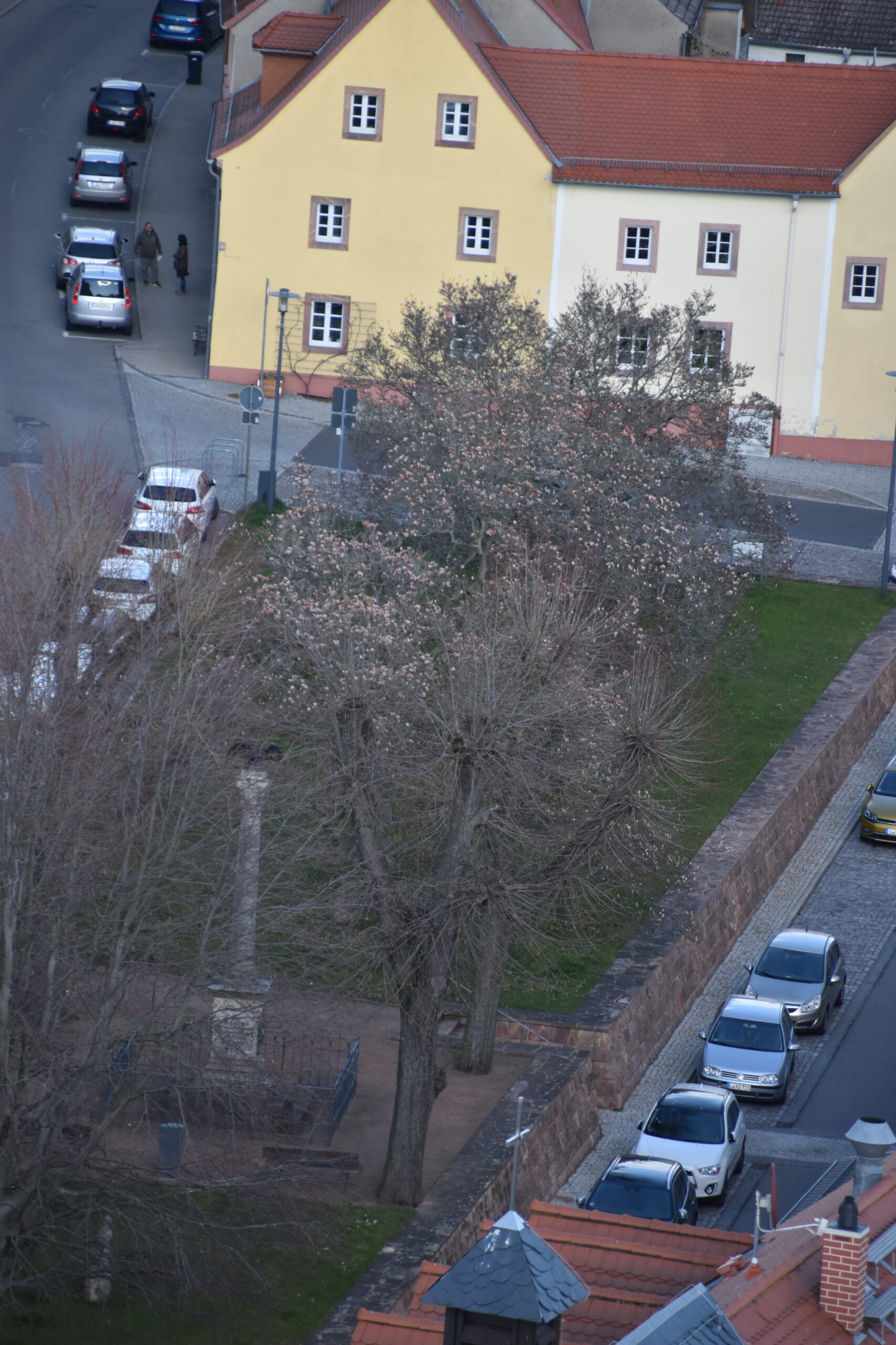 DSC_2052 – Ev.- Luth. Kirchspiel Geithainer Land